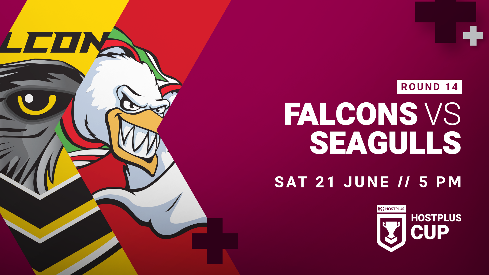 QPlus TV | Matches | 2025 Hostplus Cup, RD14, Sunshine Coast Falcons v ...